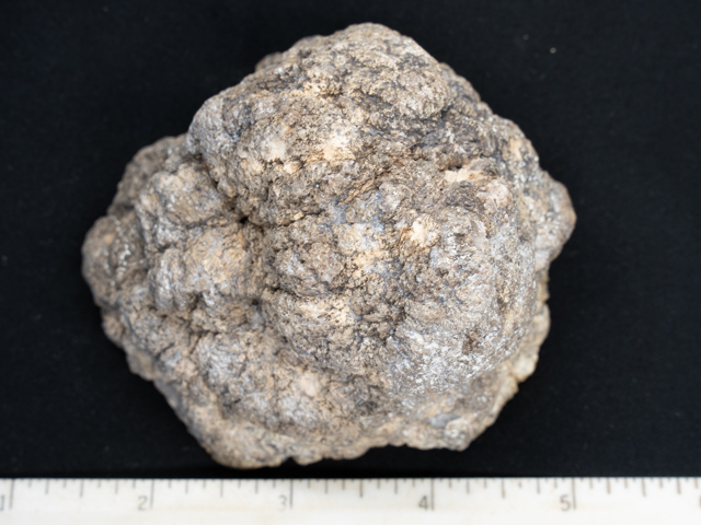 PUMA108 - $25.00 : Superagates.com